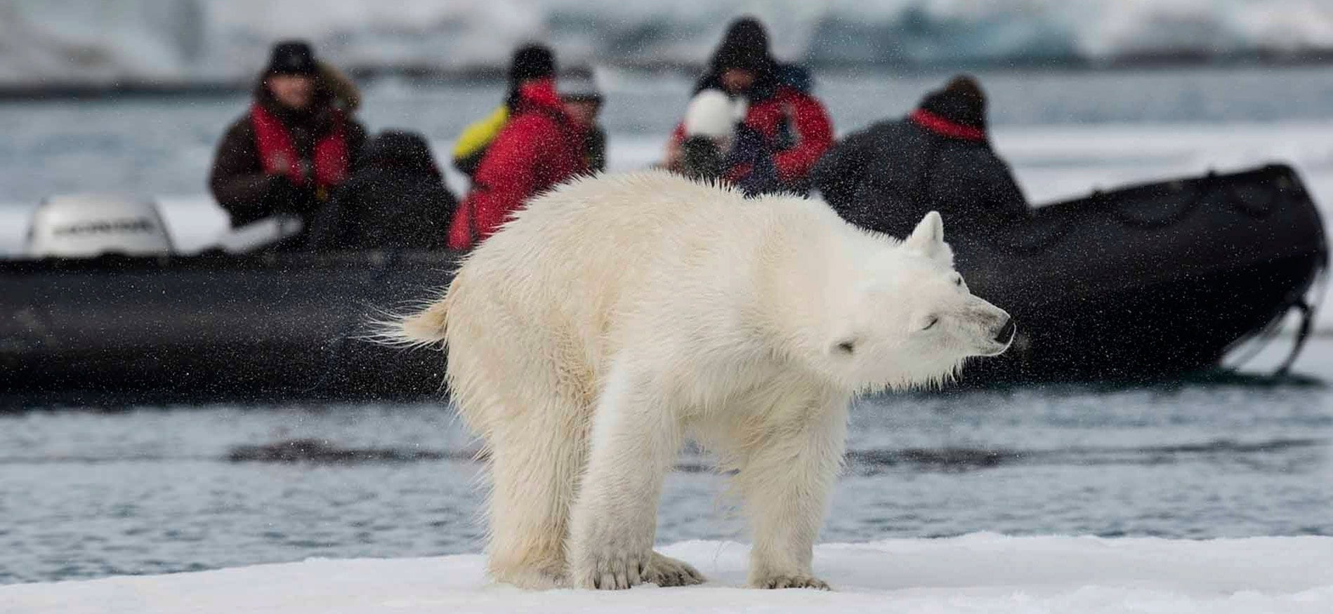 Spitsbergen reizen in de winter | Voigt Travel